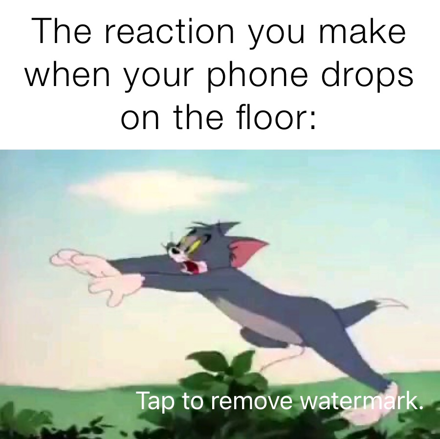 The reaction you make when your phone drops on the floor: | @lpsqkpics ...