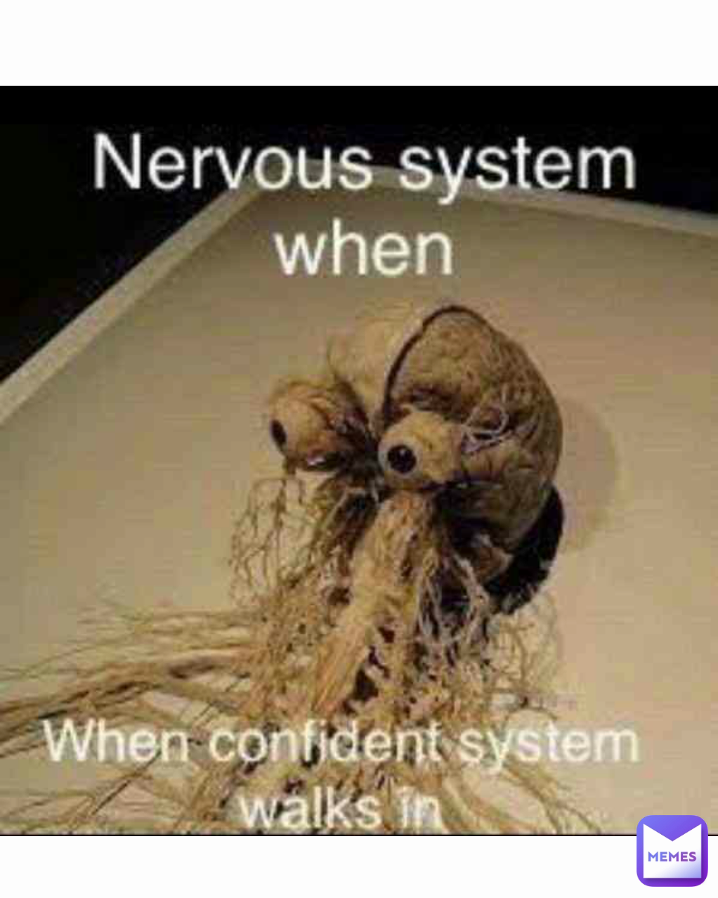 Post by @Gorfucius.The.2st | Memes