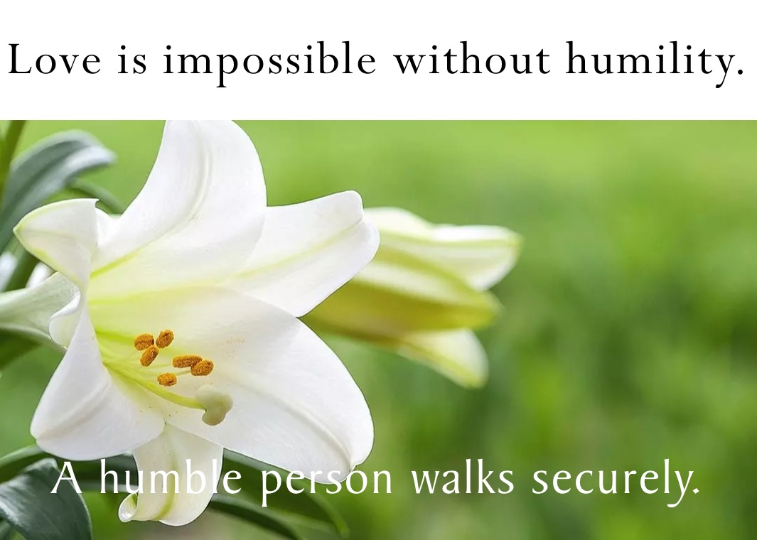 Love is impossible without humility. A humble person walks securely. Do ...