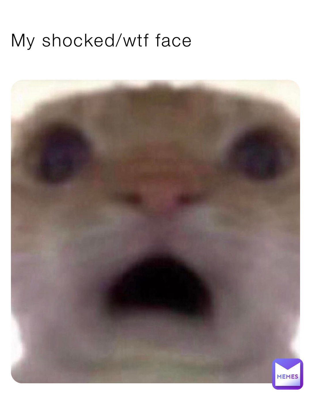 My shocked/wtf face | @Im_Not_Dogpool | Memes