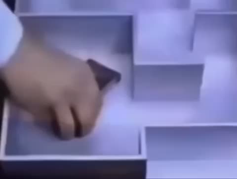 Post by @Im_Not_Dogpool | Memes