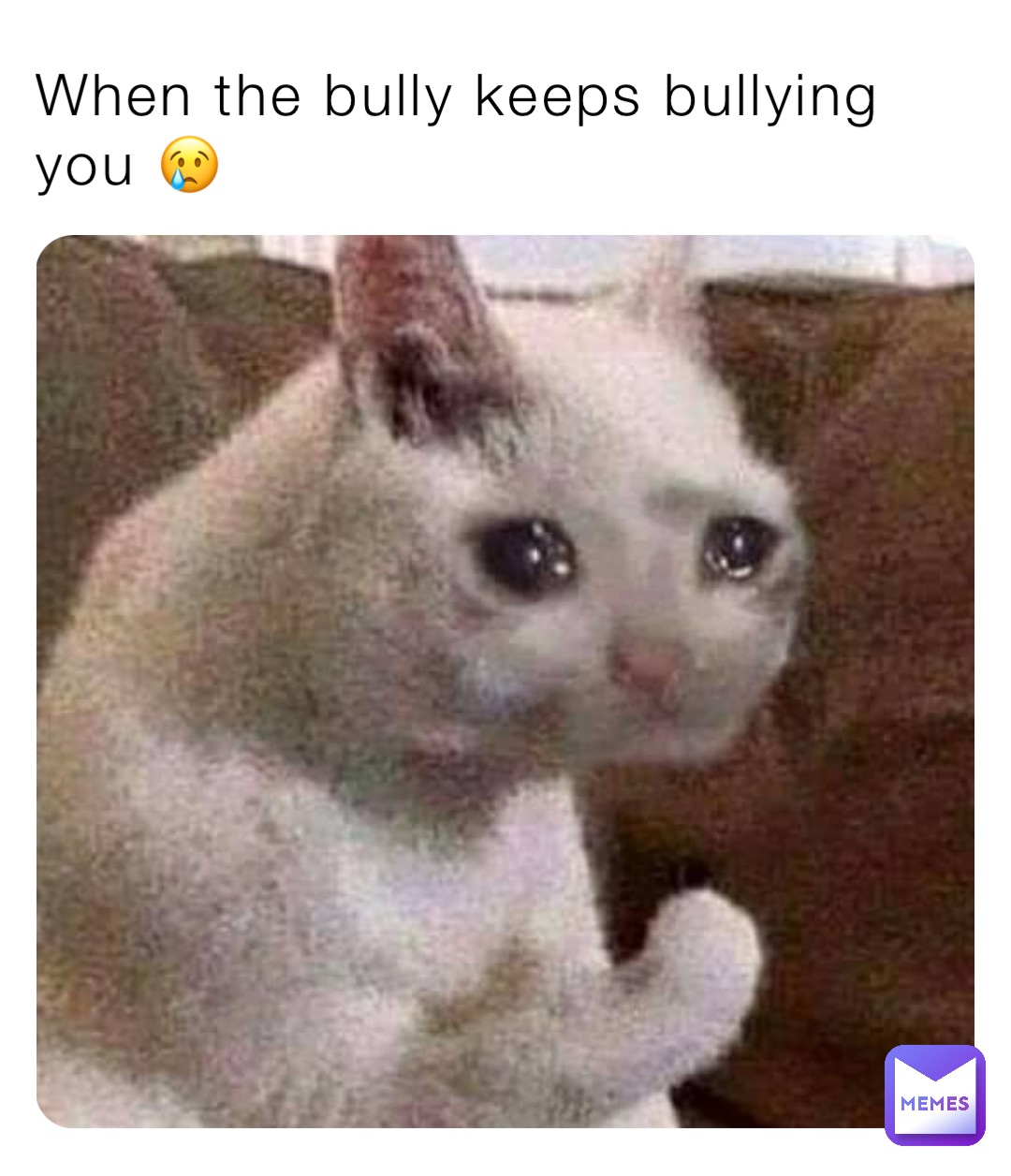 When the bully keeps bullying you 😢 | @autumncole21 | Memes