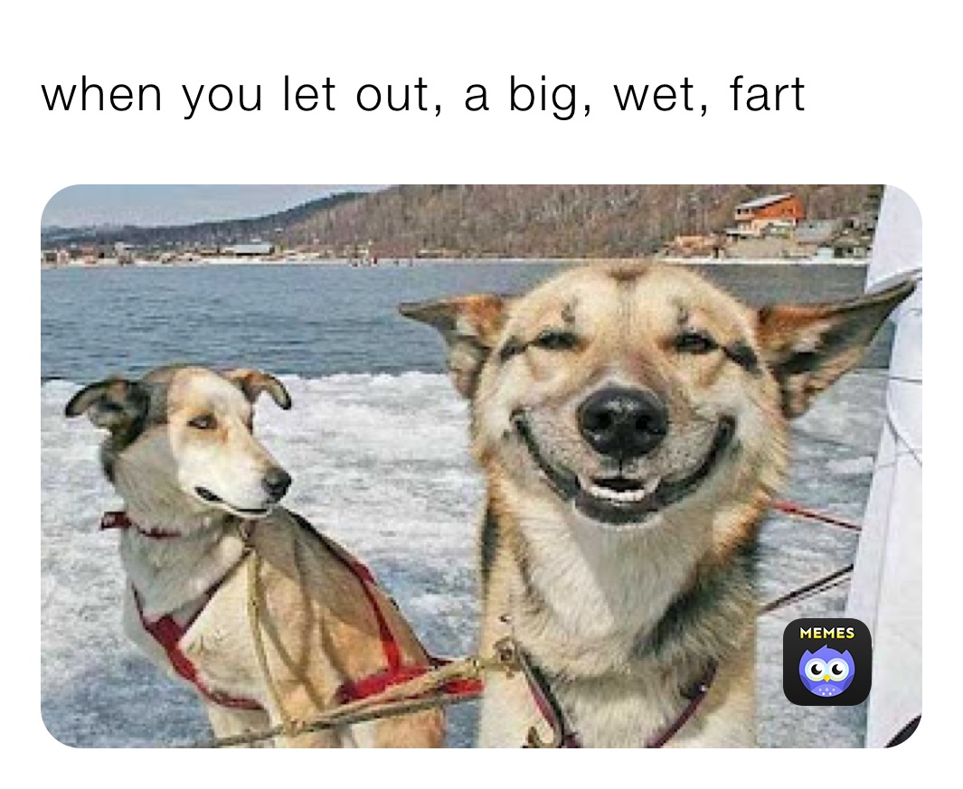 When You Let Out A Big Wet Fart Danomite071 Memes