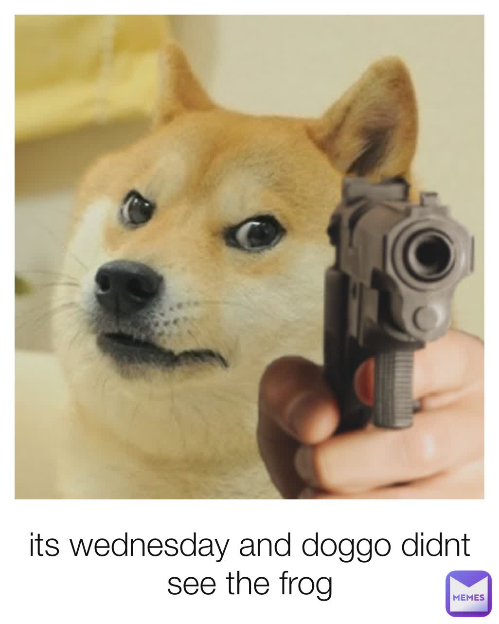 its wednesday and doggo didnt see the frog | @Dinosaurusrexi | Memes