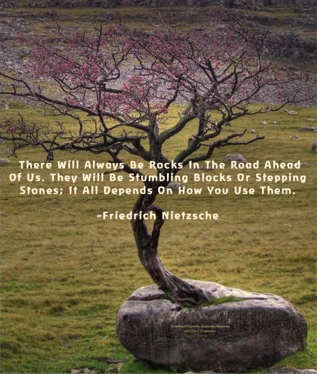 There Will Always Be Rocks In The Road Ahead Of Us. They Will Be ...