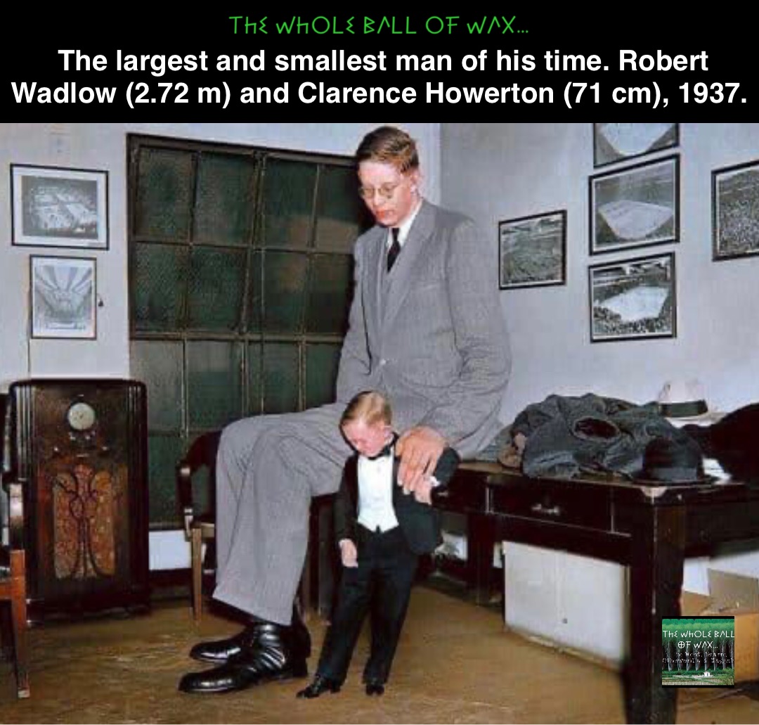 Double tap to edit Double tap to edit The largest and smallest man of ...