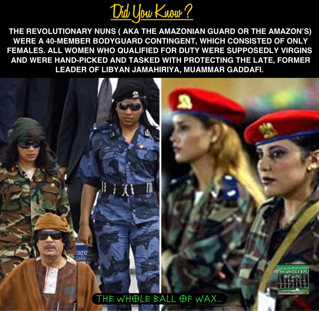 Double tap to edit The Revolutionary Nuns ( aka The Amazonian Guard or ...