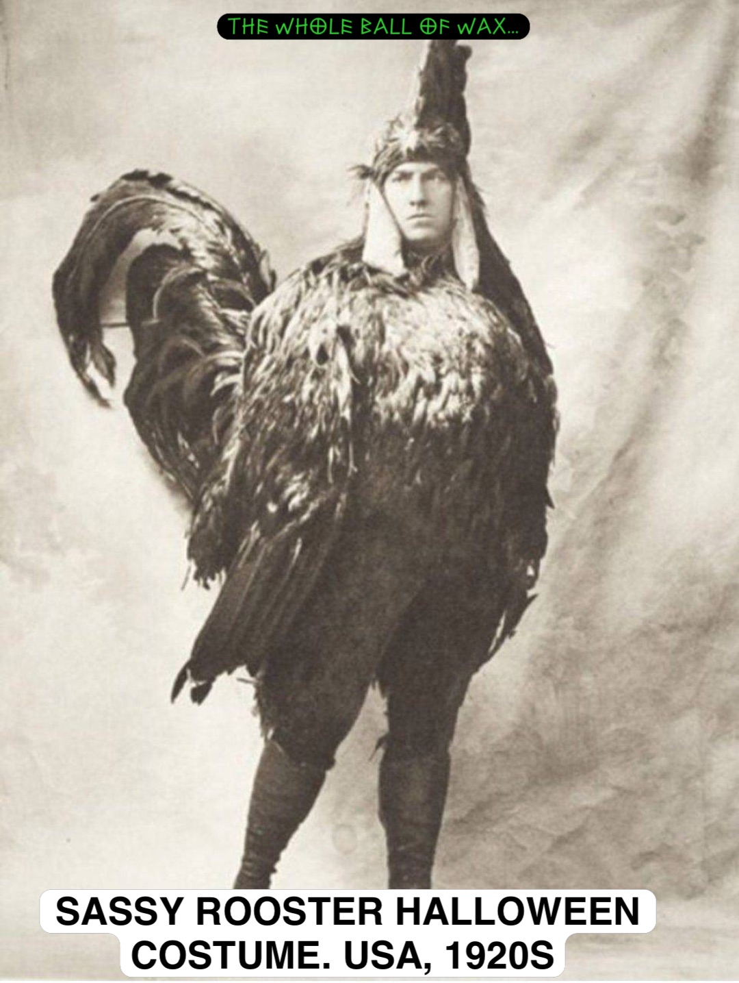 Sassy Rooster Halloween Costume. USA, 1920s | @Enlighten | Memes