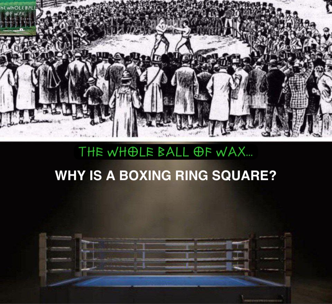 Why is a boxing ring square? | @Enlighten | Memes