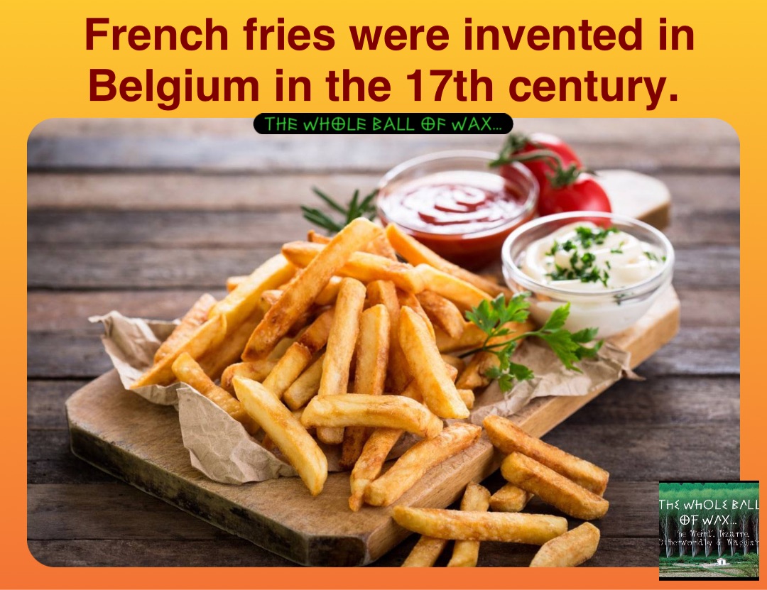 French fries were invented in Belgium in the 17th century. | @Enlighten ...