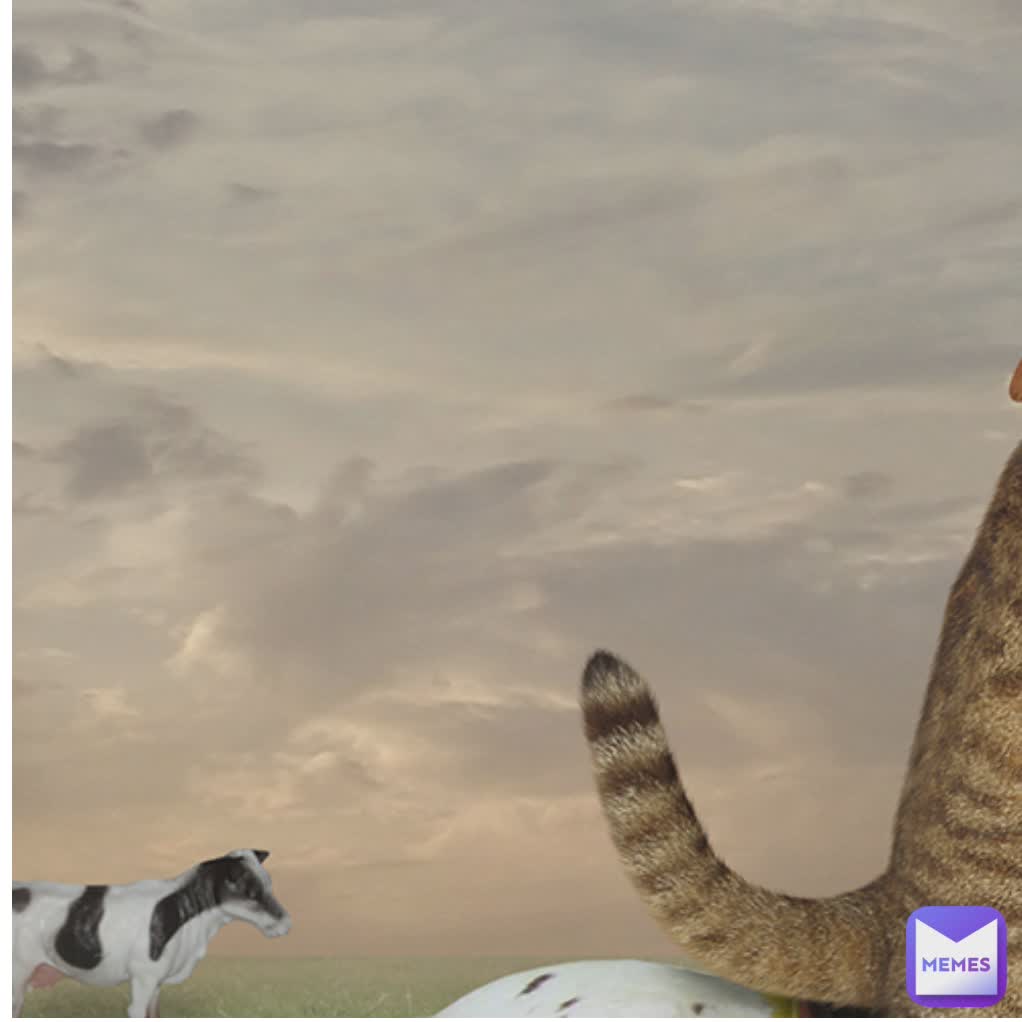 1st video follow me | @official__suri__8378 | Memes