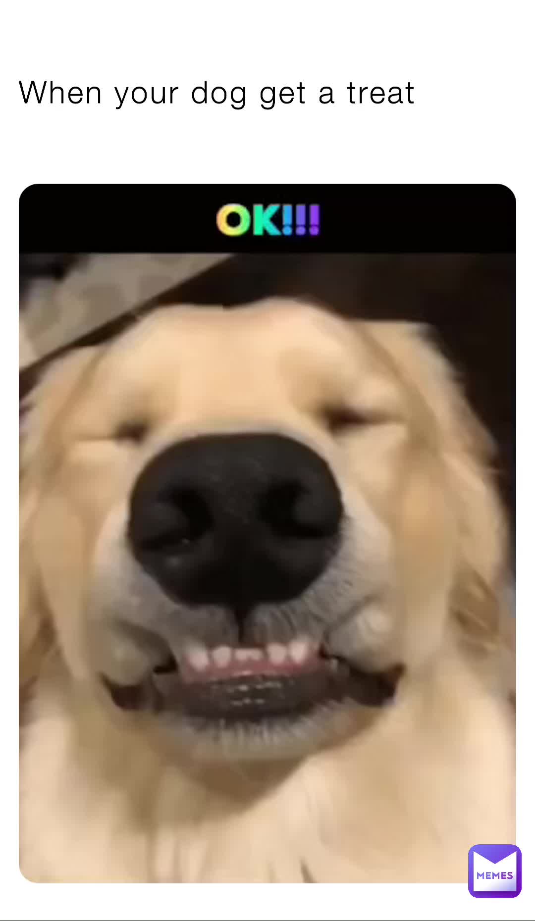 When your dog get a treat | @zander-ferguson | Memes