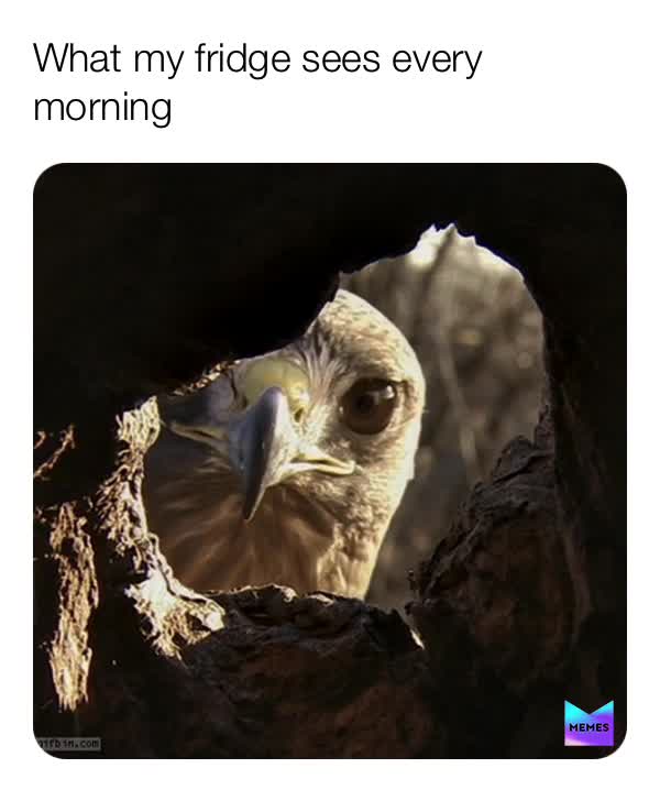 Post by @y33t_mah_geet | Memes