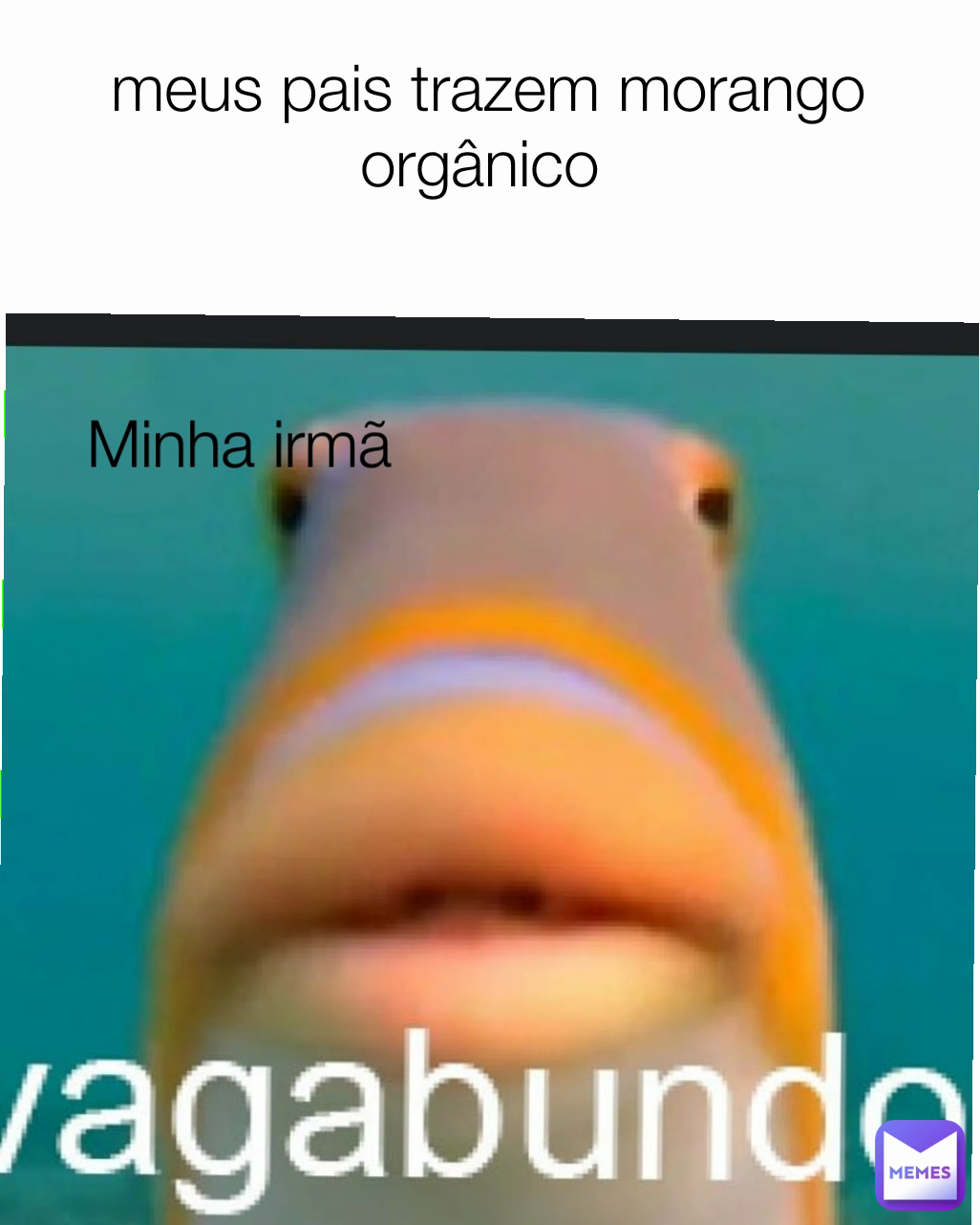 Minha irmã meus pais trazem morango orgânico | @tonhao | Memes