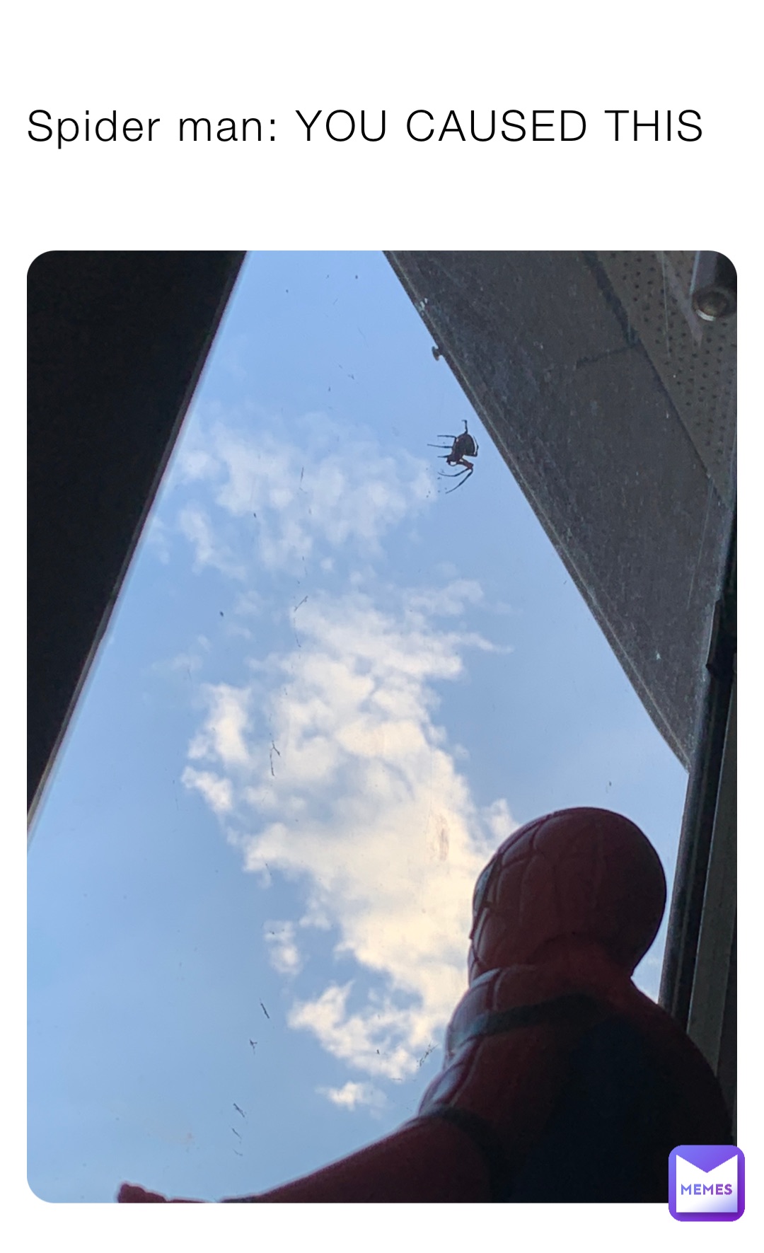 Spider man: YOU CAUSED THIS | @Rufus_the_11 | Memes