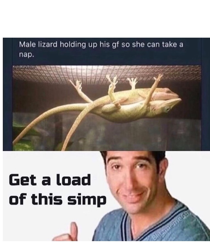 Post by @the_chunk_munk | Memes