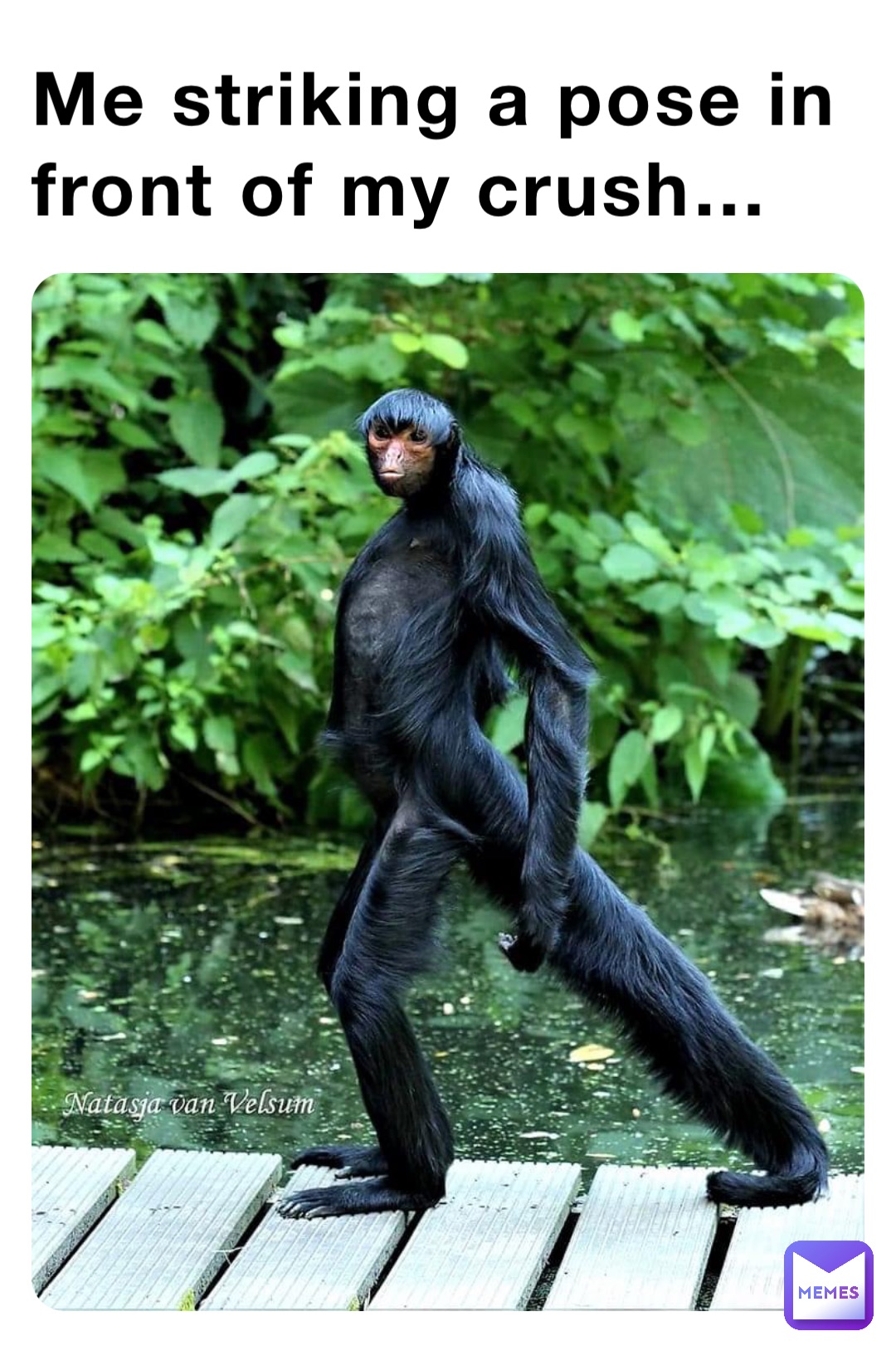 Me striking a pose in front of my crush… | @Gabriel.Falcon.001 | Memes