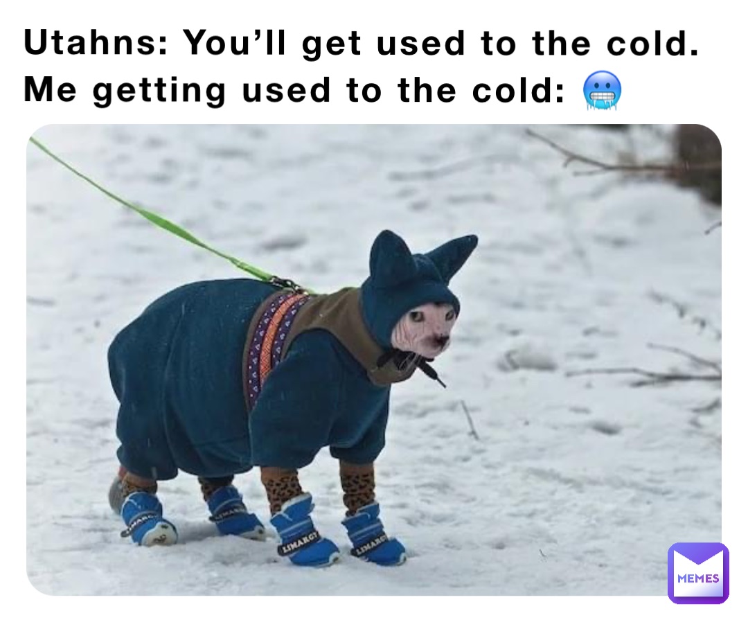 Utahns: You’ll get used to the cold. Me getting used to the cold: 🥶 ...