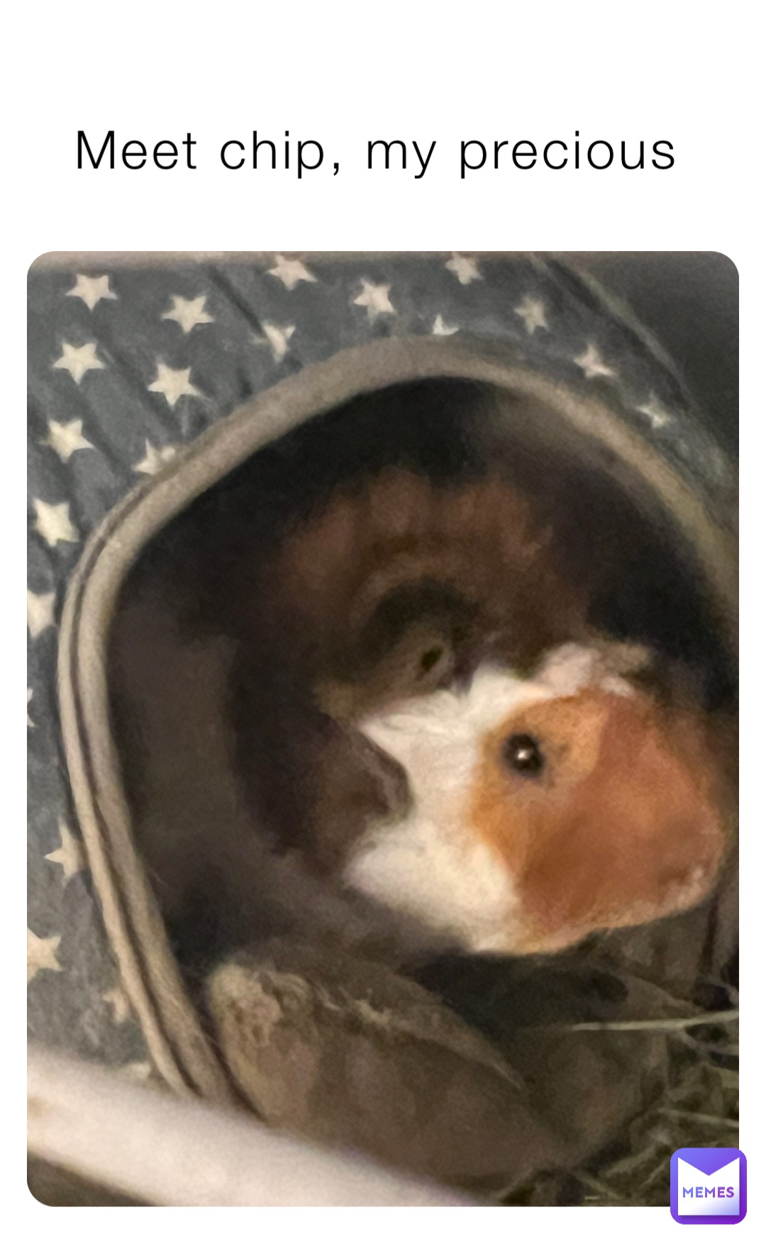 Meet chip, my precious | @Kennyfr1 | Memes