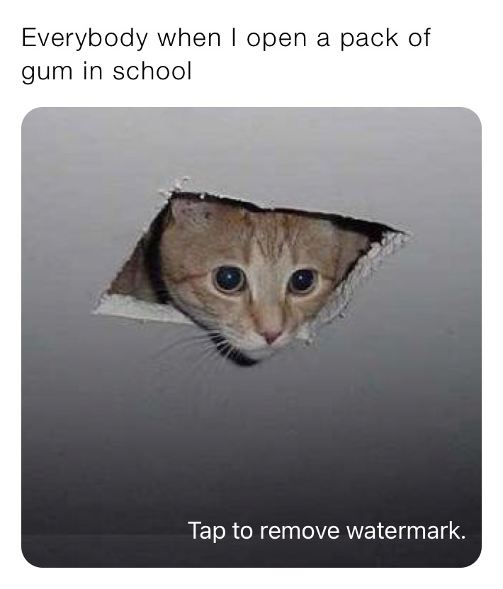 Everybody when I open a pack of gum in school | @fart_lol | Memes