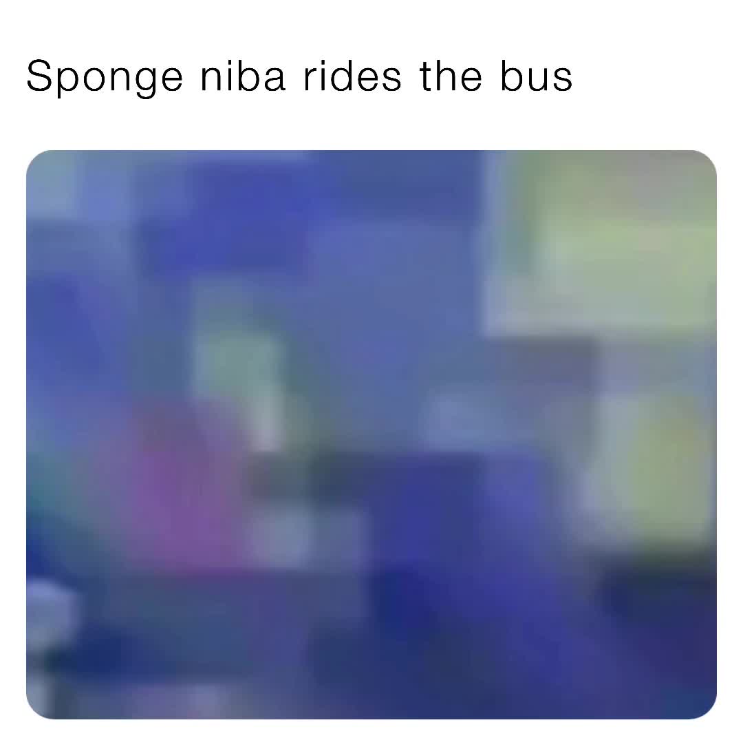 Sponge niba rides the bus | @Koolkid445 | Memes