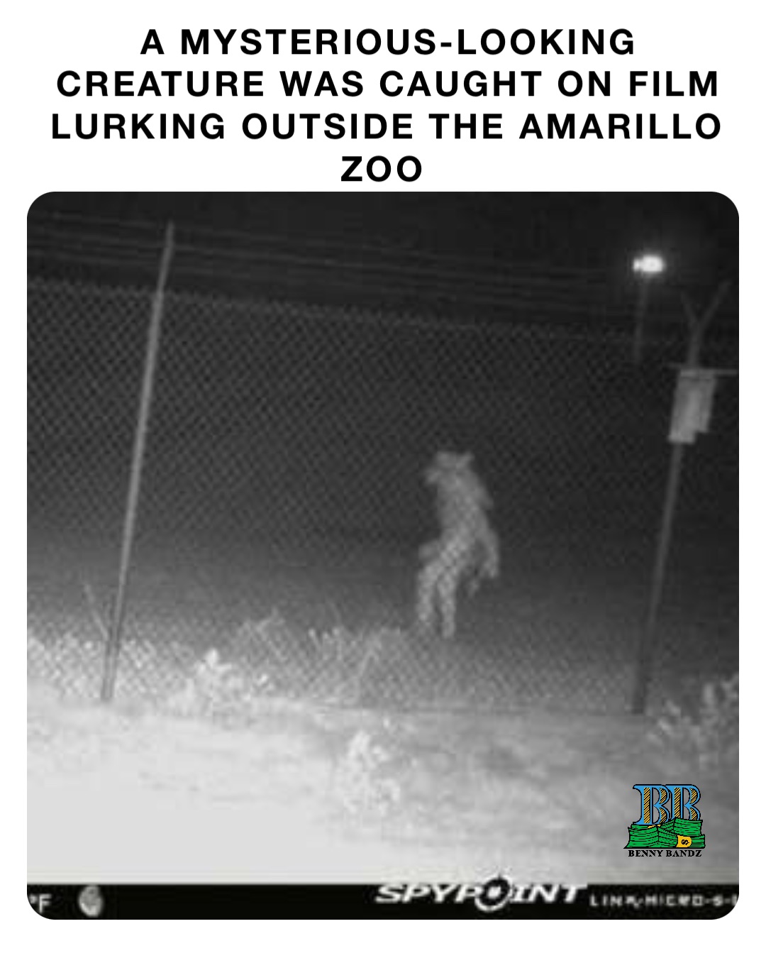 A MYSTERIOUS-LOOKING CREATURE WAS CAUGHT ON FILM LURKING OUTSIDE THE ...