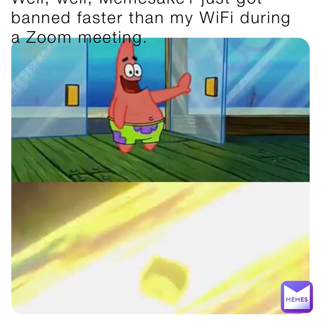 Well, well, Memesake1 just got banned faster than my WiFi during a Zoom ...