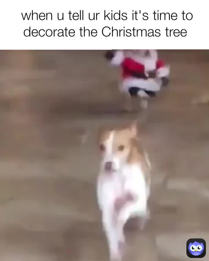 when u tell ur kids it's time to decorate the Christmas tree | @diana23 ...