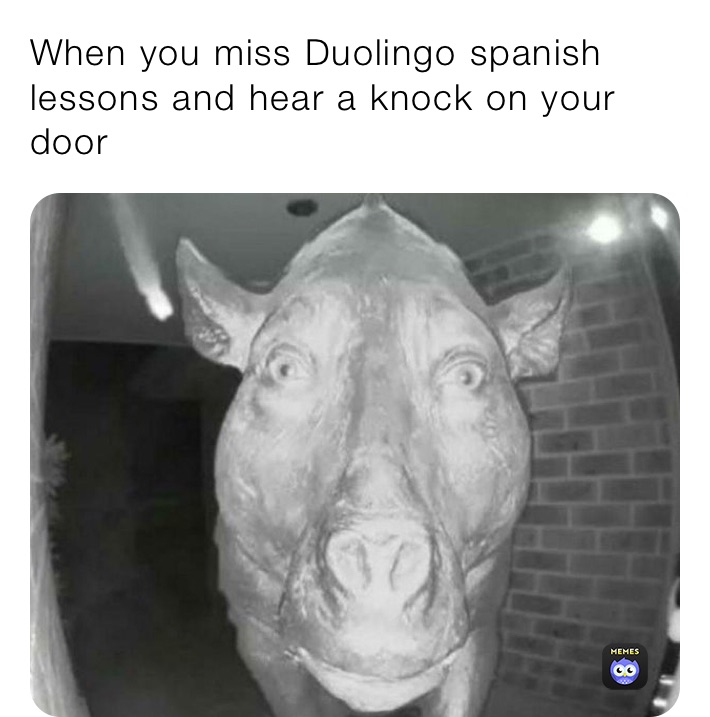 when-you-miss-duolingo-spanish-lessons-and-hear-a-knock-on-your-door