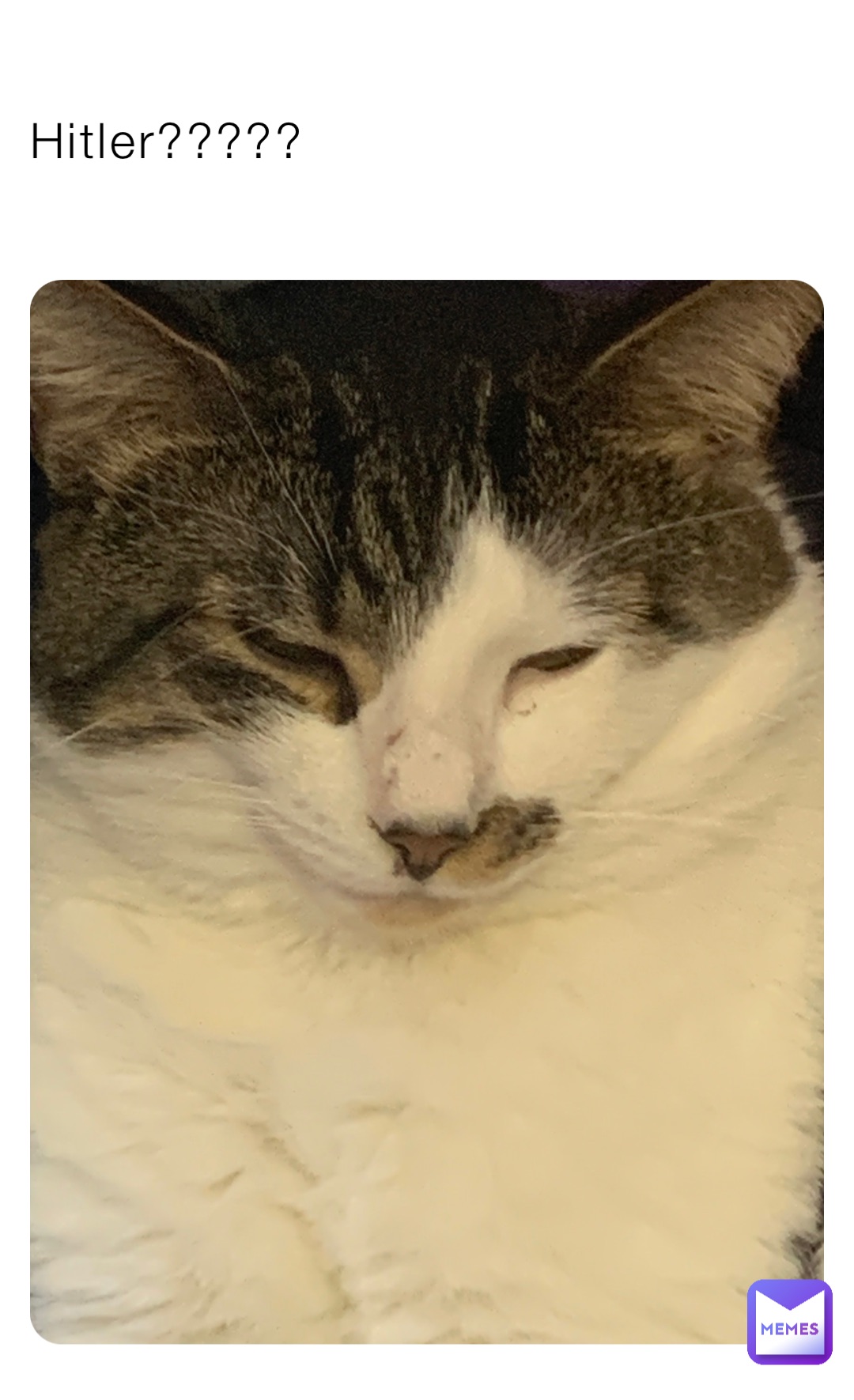 Hitler????? | @kopchakdfwu | Memes