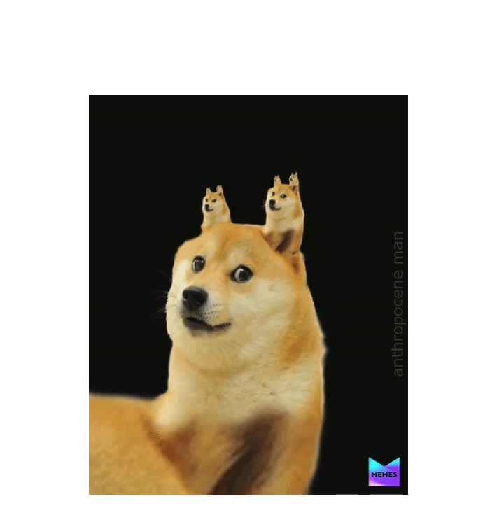 Post by @meme_green | Memes