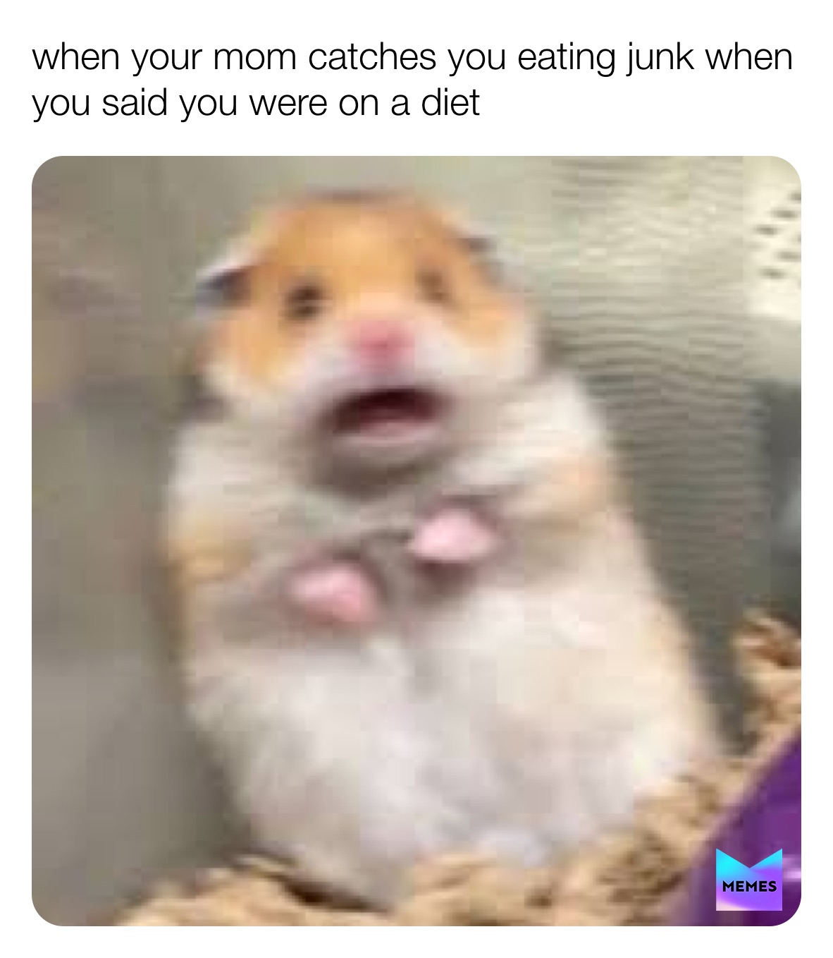 Post by @strangerthings_144 | Memes