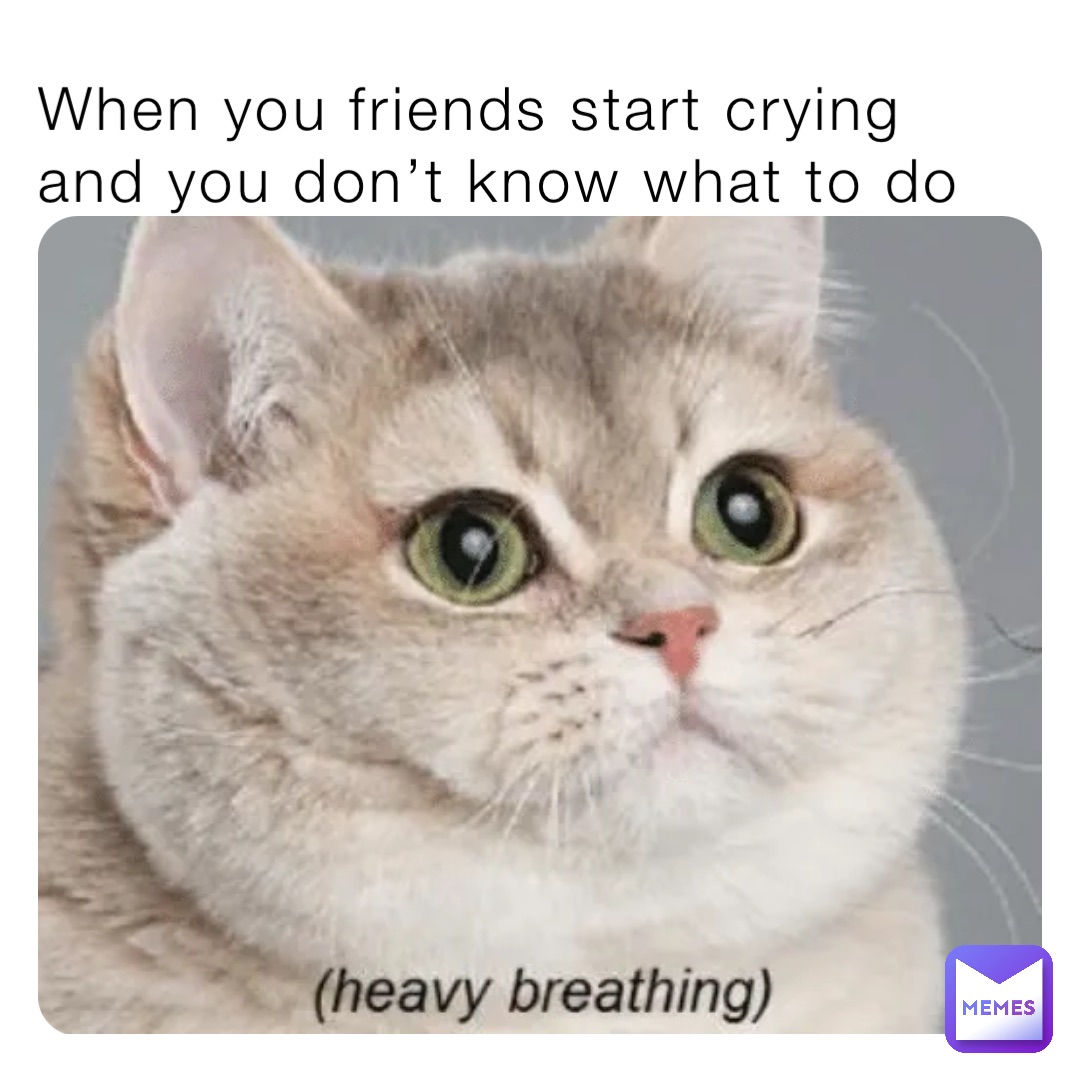 When you friends start crying and you don’t know what to do ...