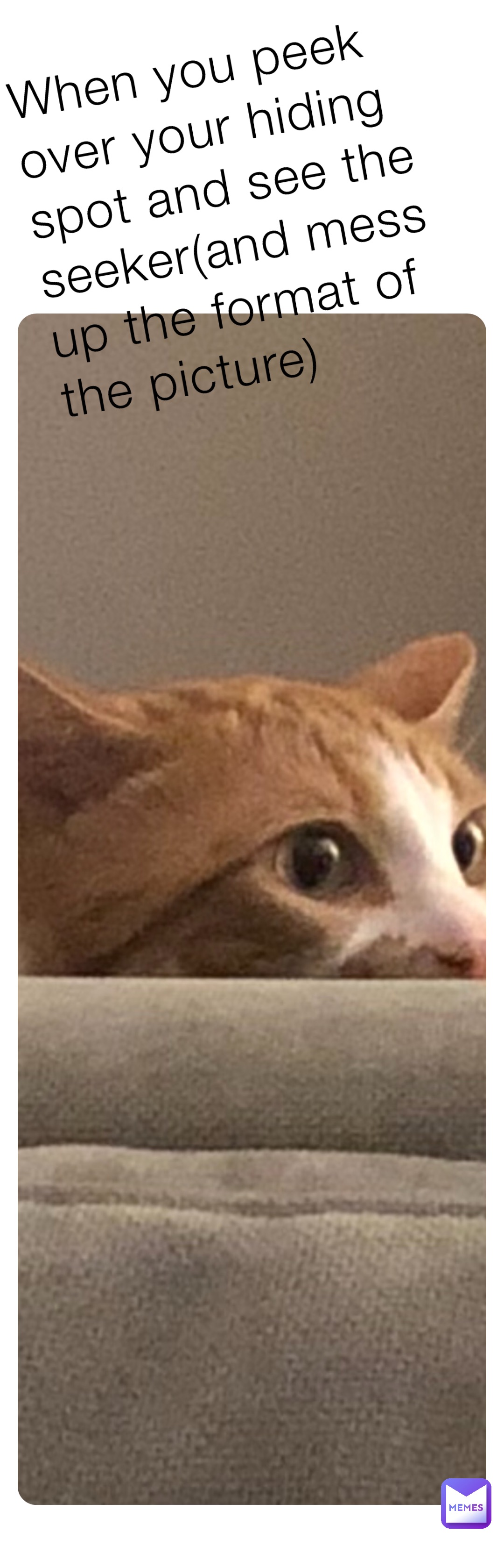 When you peek over your hiding spot and see the seeker(and mess up the ...