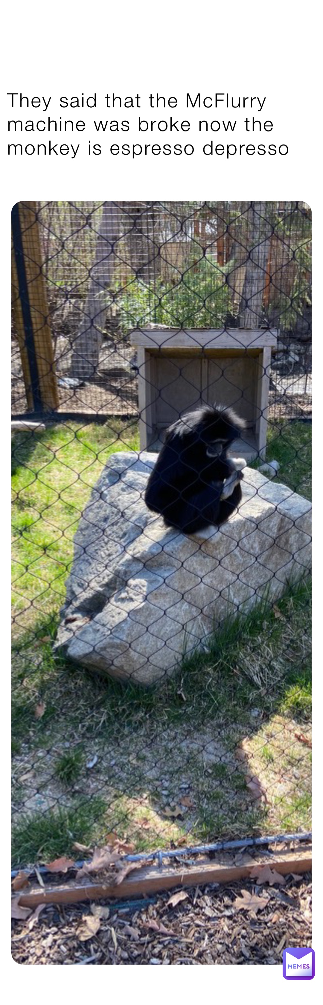 They said that the McFlurry machine was broke now the monkey is ...