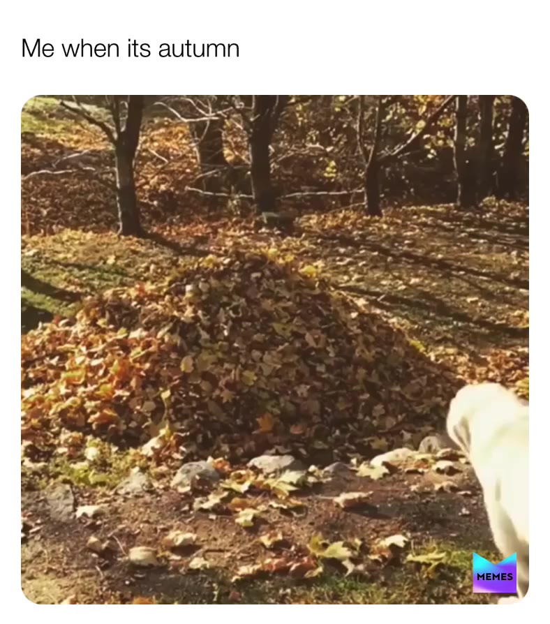 Post by @no_offensive_memes | Memes