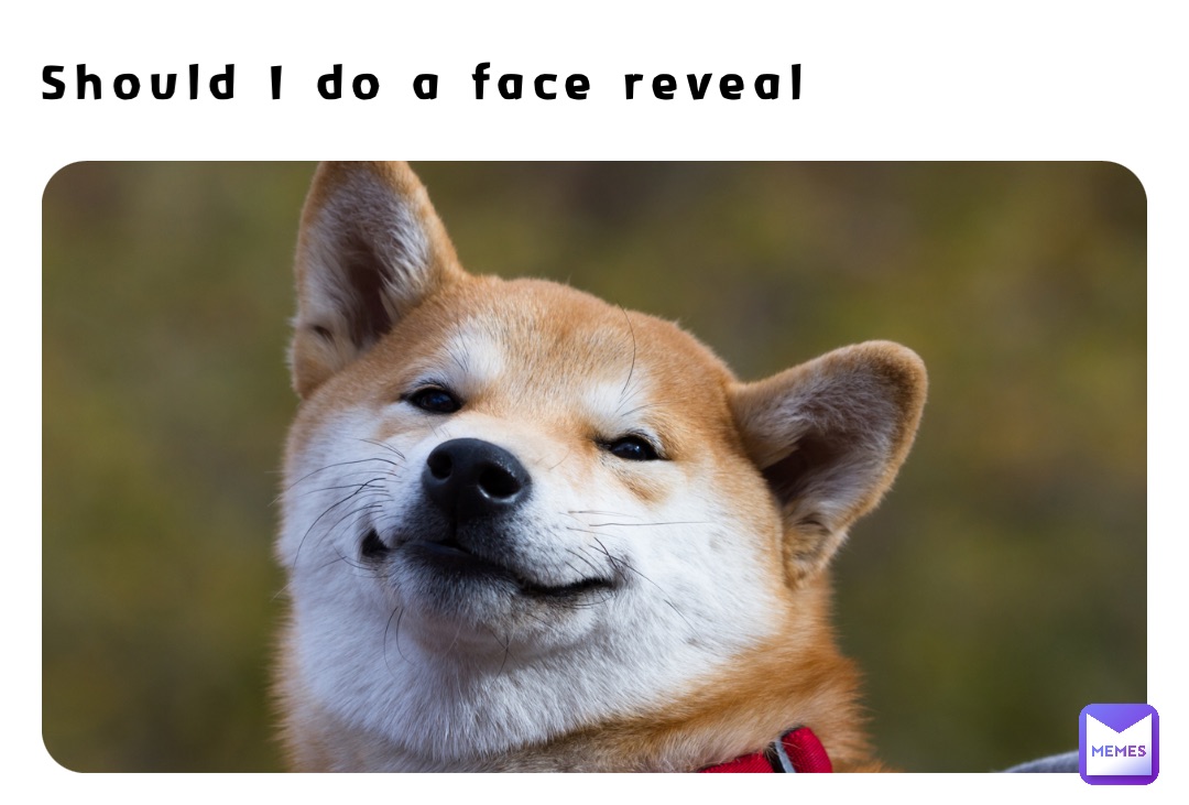 Should I do a face reveal | @cpr8rstfmn | Memes