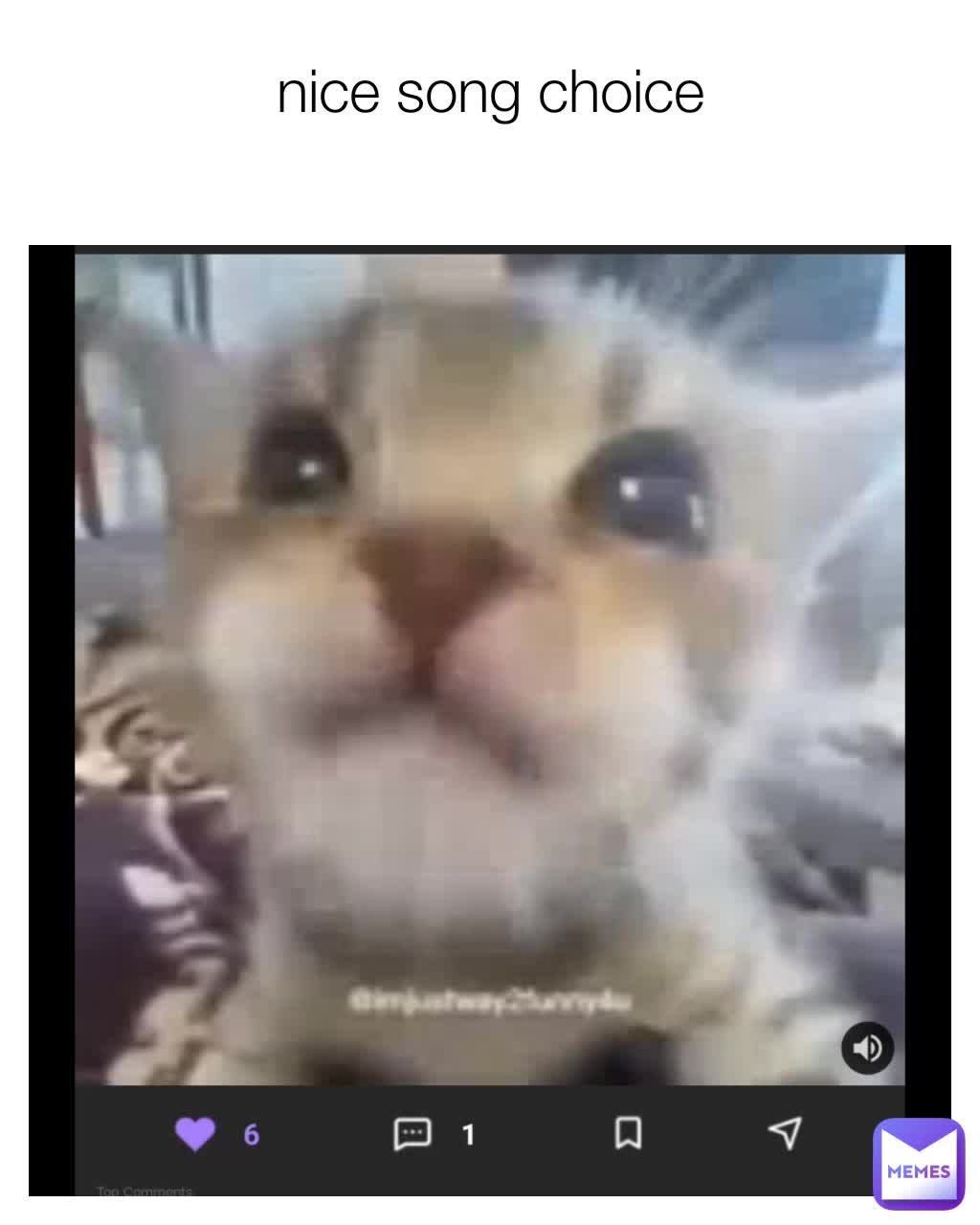nice song choice | @Driedalpaca1 | Memes