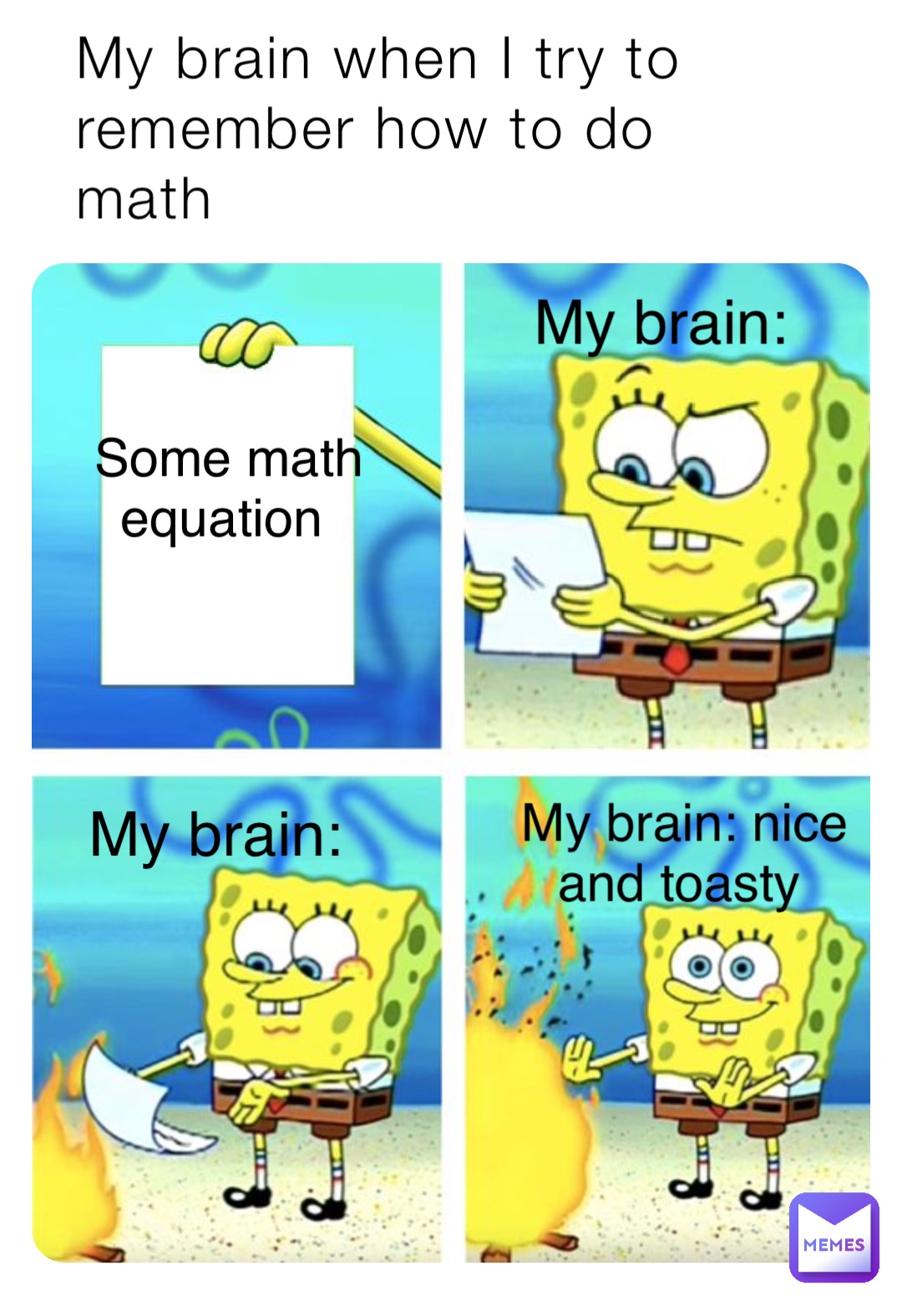 My Brain When I Try To Remember How To Do Math Some Math Equation My