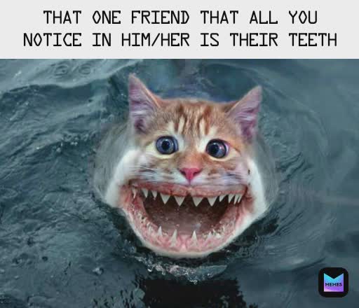 Post by @Shawn_Tfr | Memes