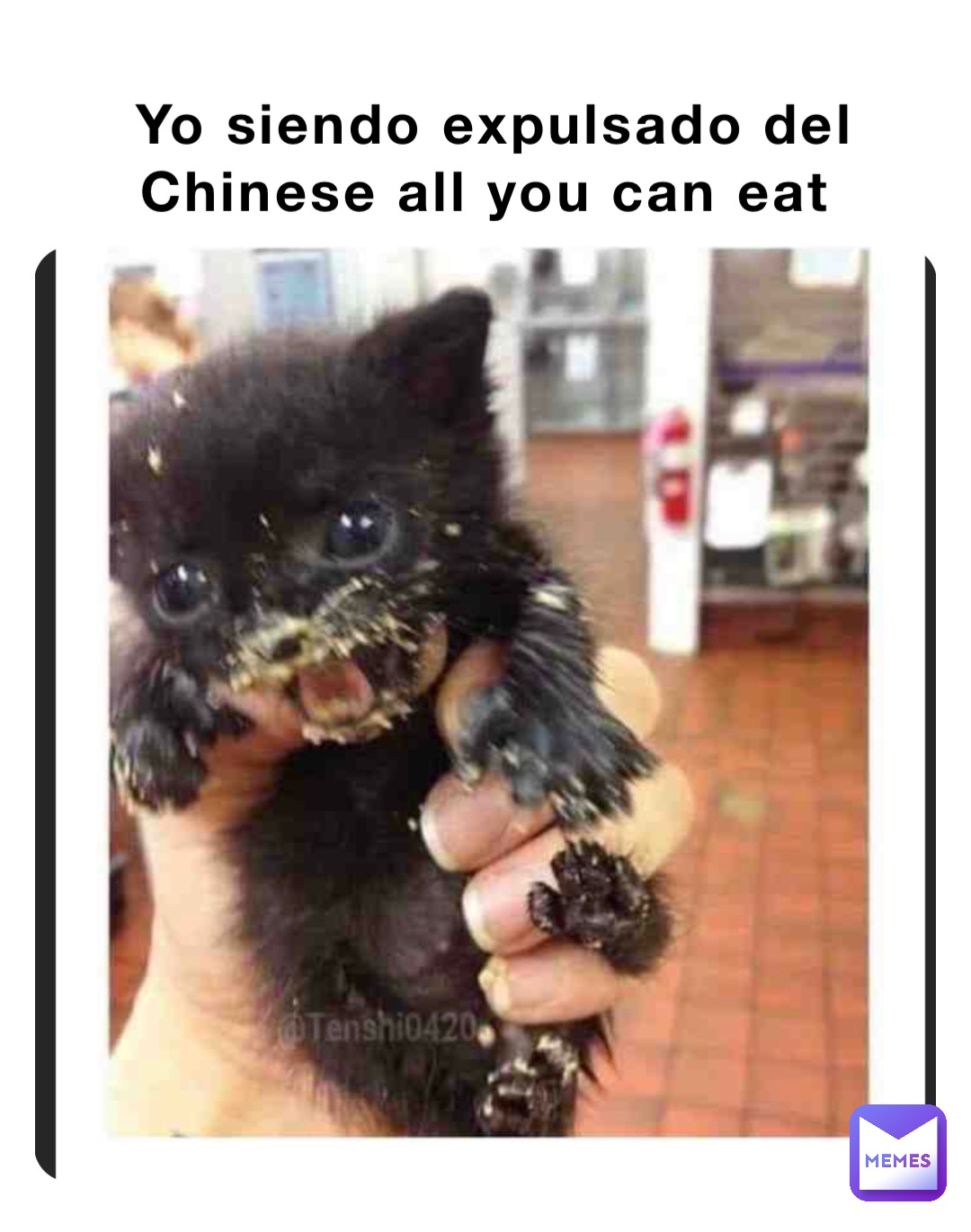 Yo siendo expulsado del Chinese all you can eat | @asamoa | Memes
