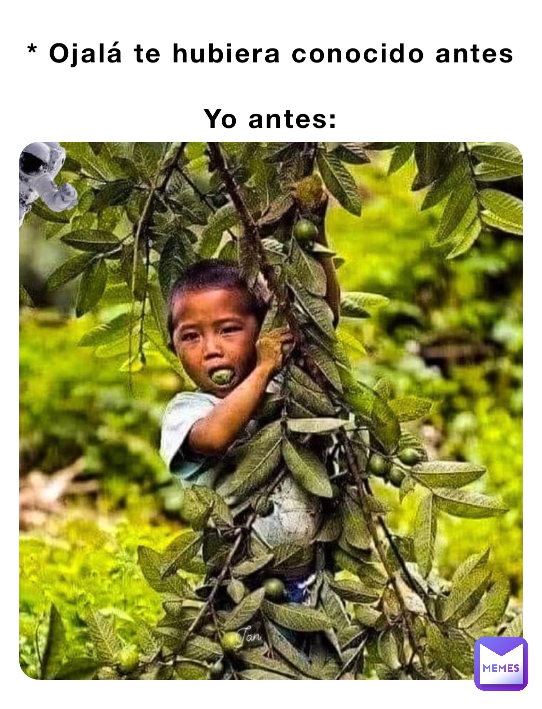 * Ojalá te hubiera conocido antes Yo antes: | @asamoa | Memes