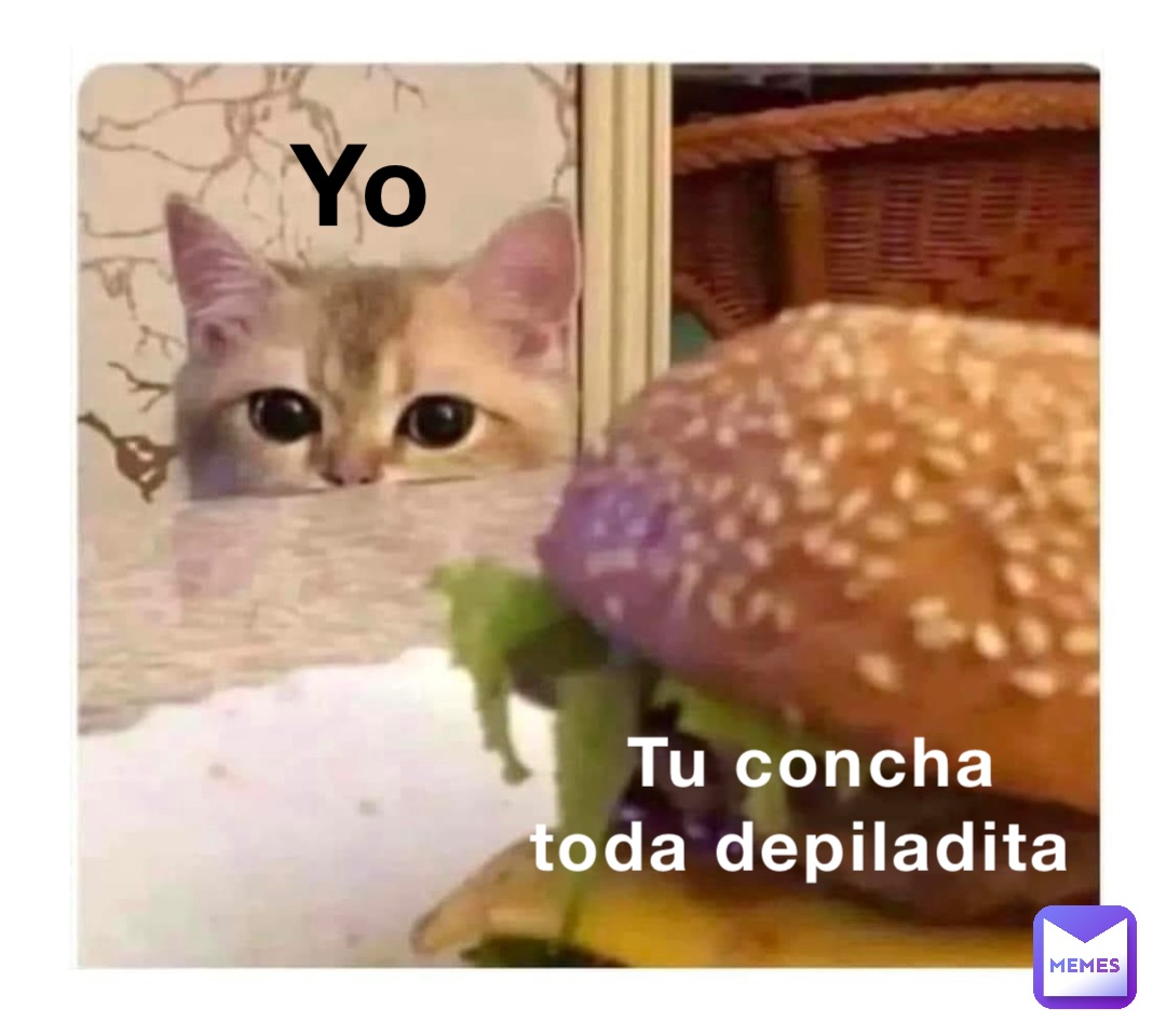 Yo Tu concha toda depiladita | @asamoa | Memes