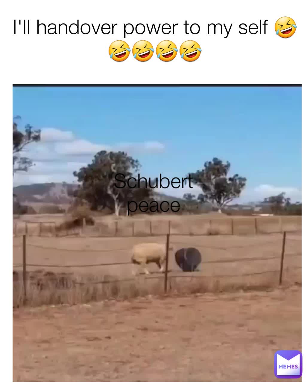 I'll handover power to my self 🤣🤣🤣🤣🤣 Schubert peace | @peaceschubert ...