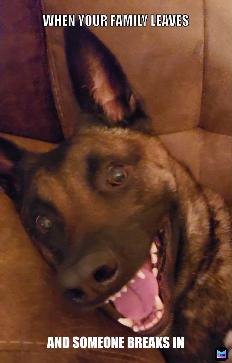 K9 Handler Memes