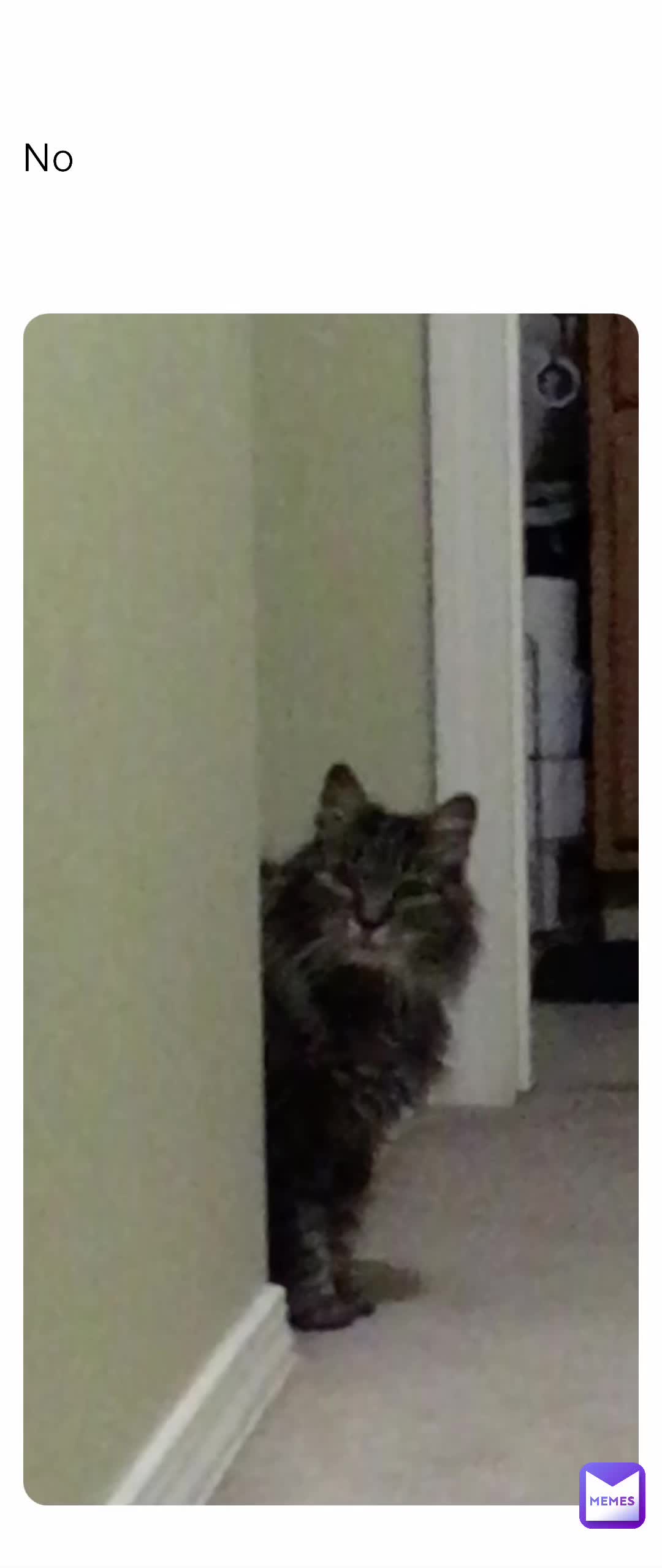 No | @Ford_Escape | Memes