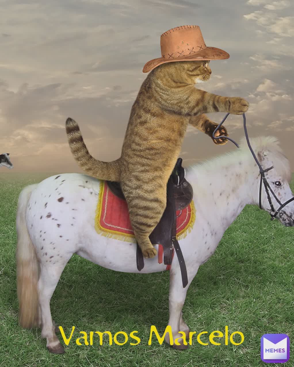 Type Text Vamos Marcelo | @a1nd7r3a | Memes