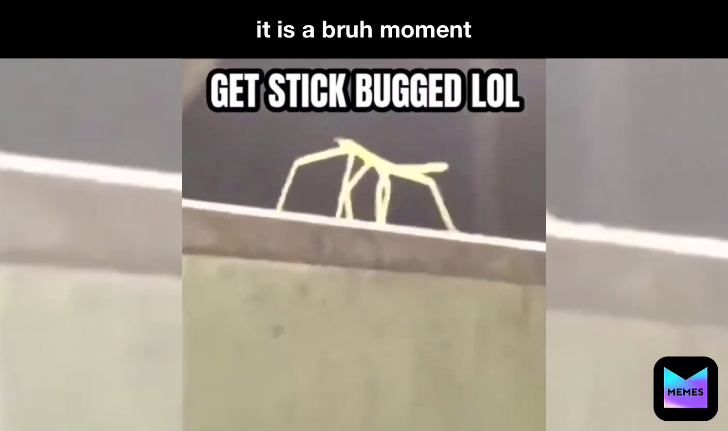 Minecraft:don’t leave trees floating. me:sure thing I will put then out ...