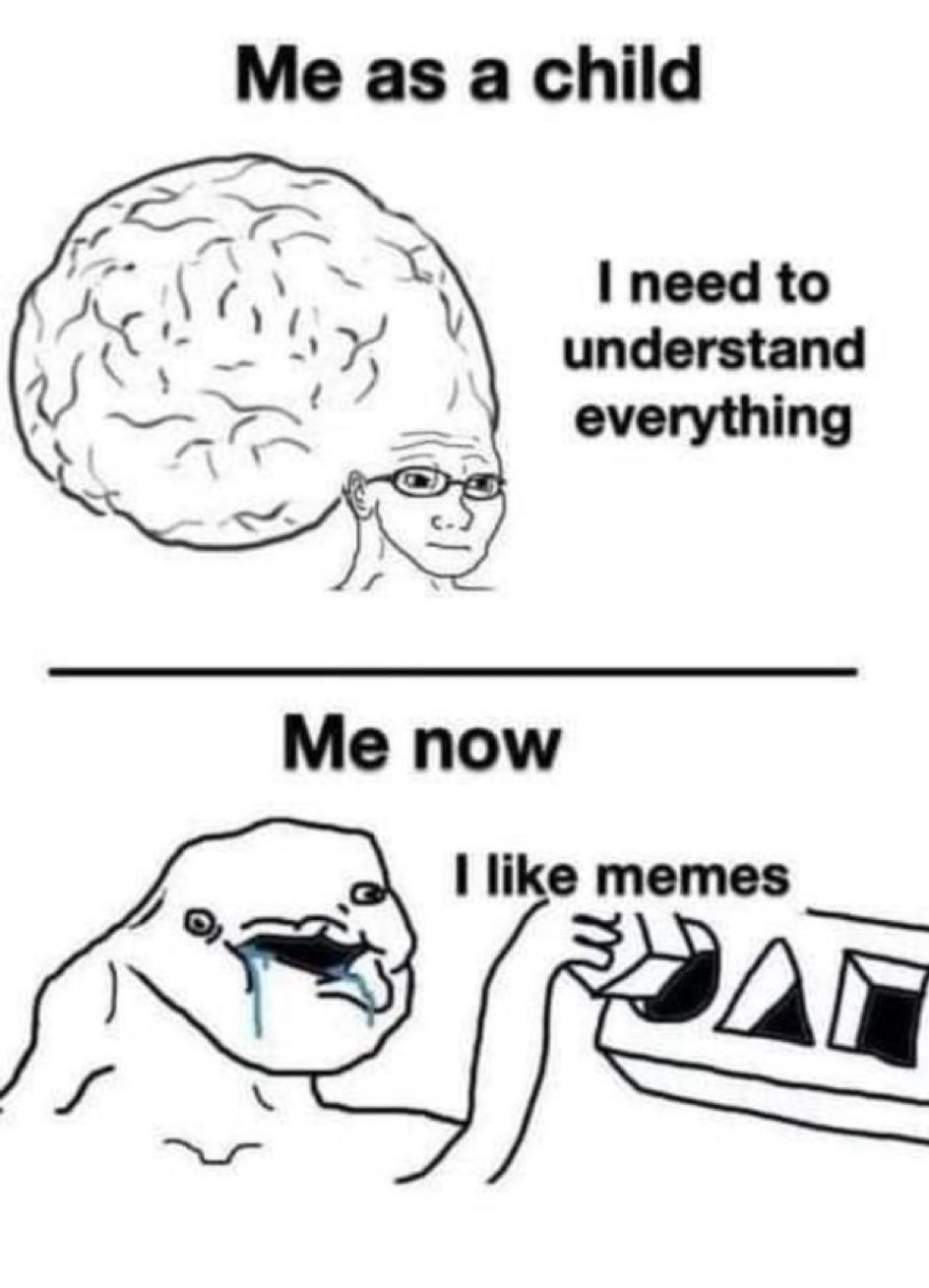 Discord Meme From: topiary101 : r/MemedowsXD