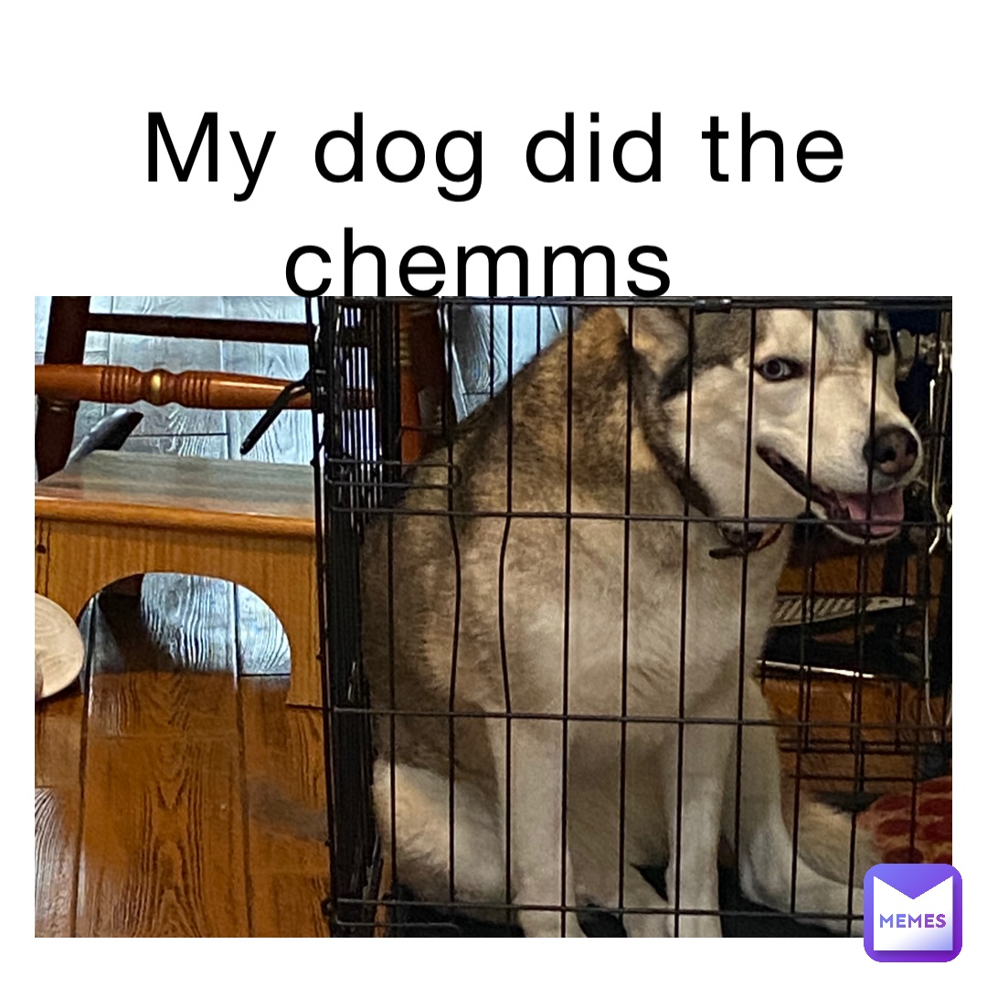 In Dog Cage Meme